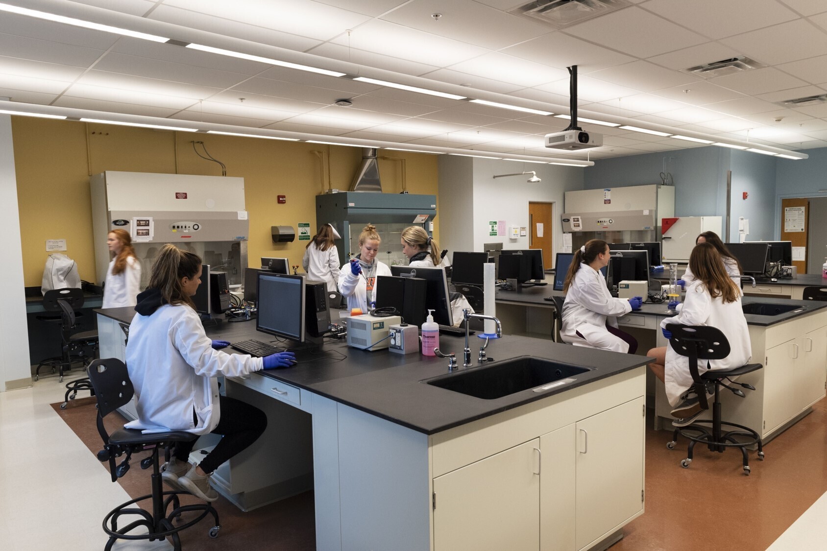 Biomedical Engineering BS | RIT